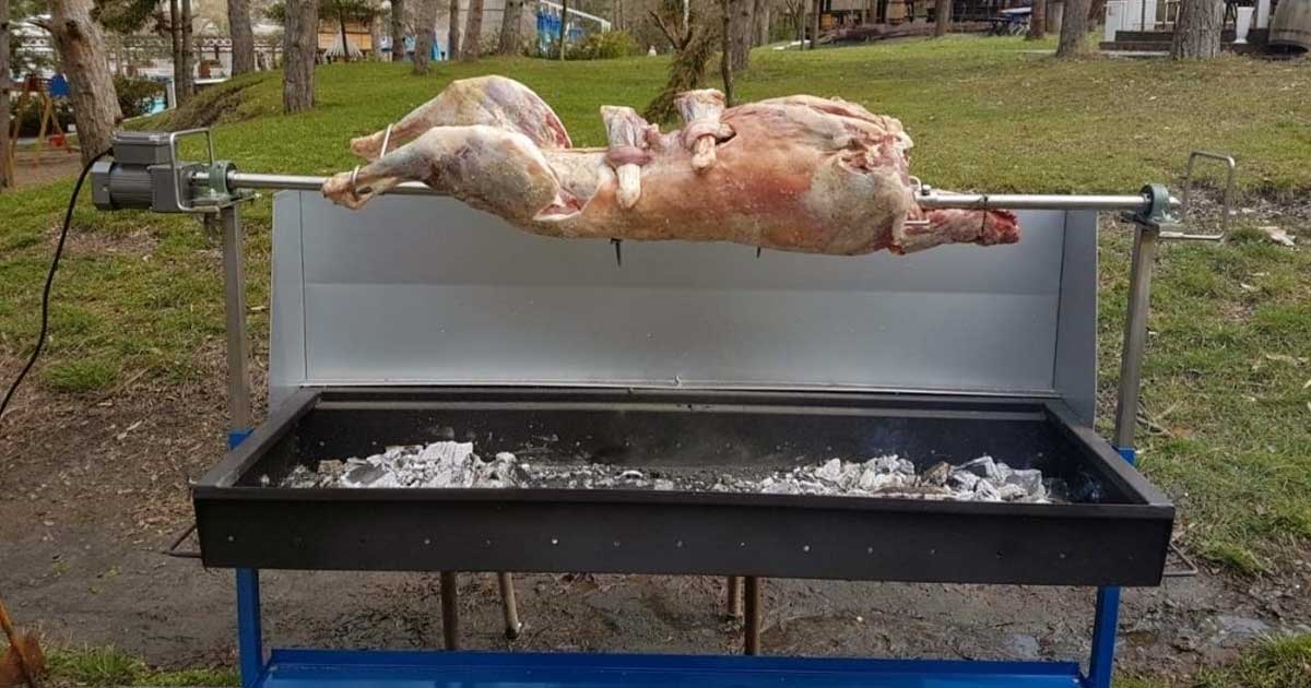 Motoare Pentru Protap Rotisor - Vertel Rotisor